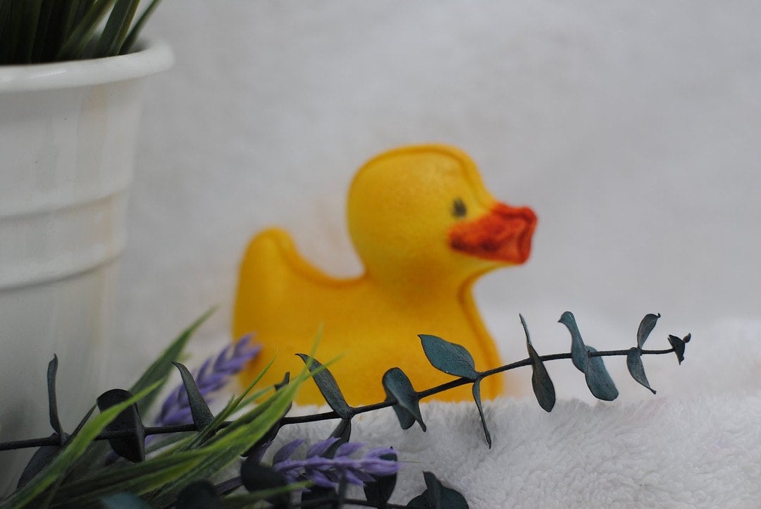 Duck Duck Goose | Blush Organics